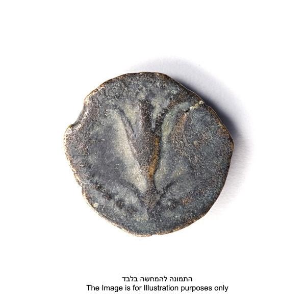 Ancient Coin Jerusalem Lily 130 Bce Antique Judaica Judaica Land
