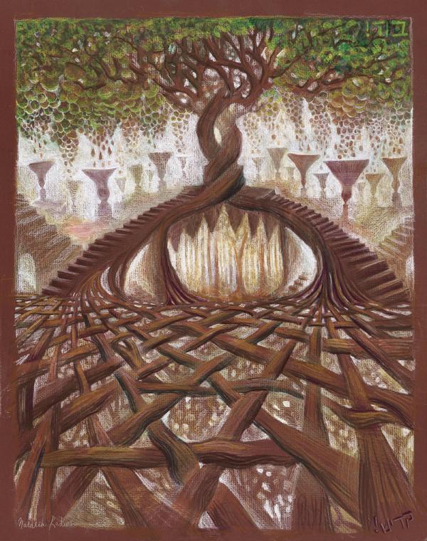 tree of life – ahuva.com